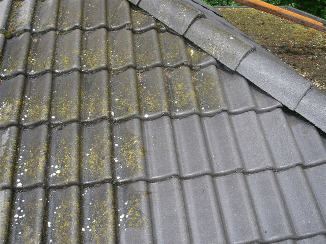 Ontmossen van daken [Prijzen + Handige tips] | Homedeal